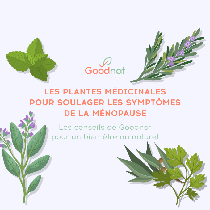 Les plantes comme solution aux symptômes de la ménopause